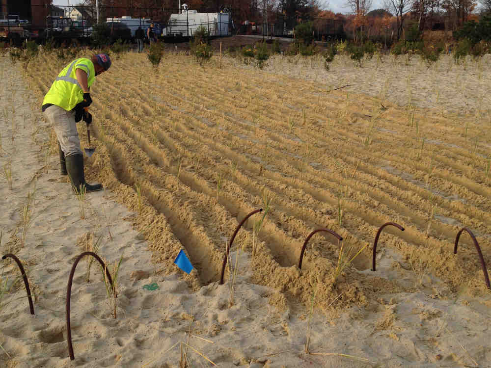 OBMUA - Aspen Landscaping